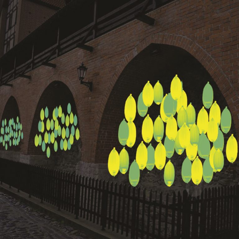 Adventures of a Turtle - Staro Rīga